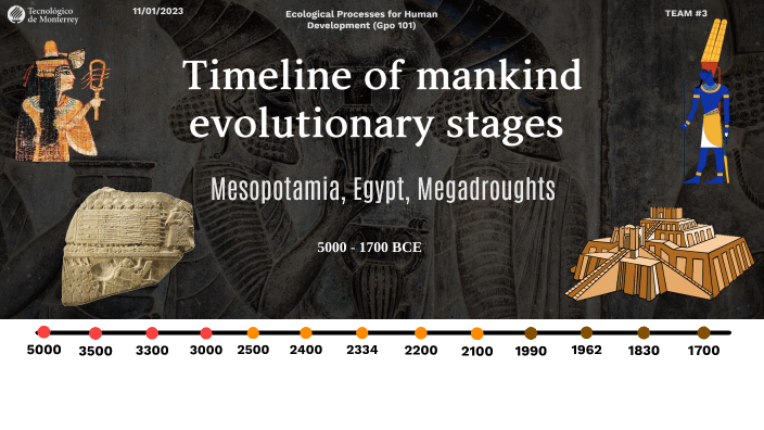 Activity 2.2 Timeline of mankind evolutionary stages by Sara Hernández ...