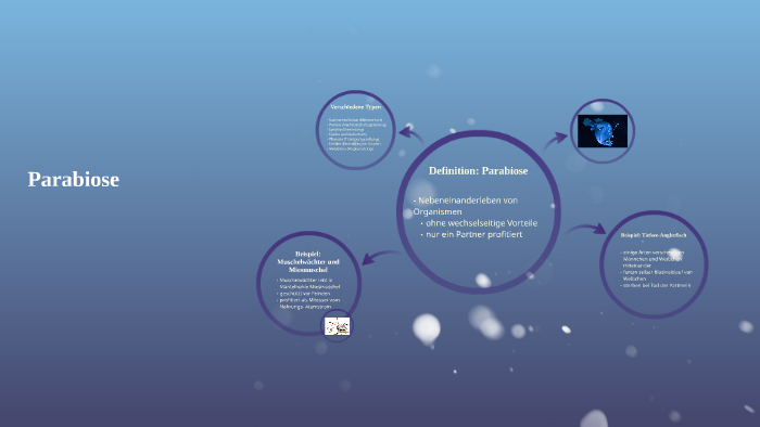 Parabiose by Sonja Werner on Prezi