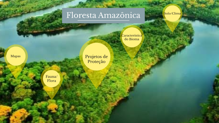 Floresta Amazônica by Igor Pires on Prezi