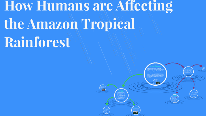 How Humans are Affecting the Amazon Tropical Rainforest by Kiki Glover ...