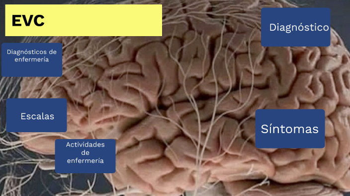 PRESENTACIÓN EVC by luis Gonzalez Hernandez on Prezi