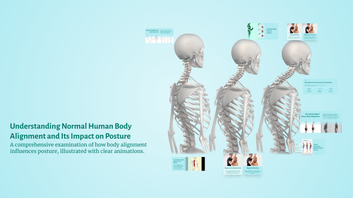 Understanding Normal Human Body Alignment and Its Impact on Posture by ...
