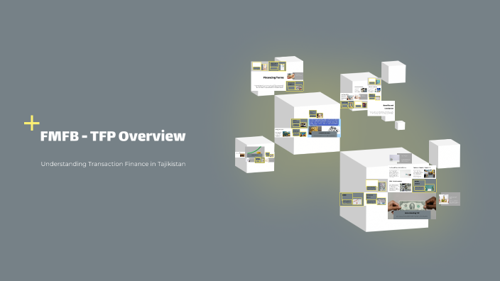 FMFB - TFP Overview by O T on Prezi