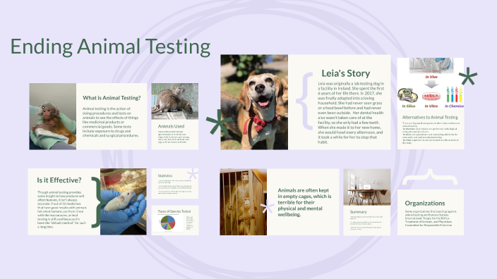 Ending Animal Testing by Aibhlinn Dolan (VE) on Prezi