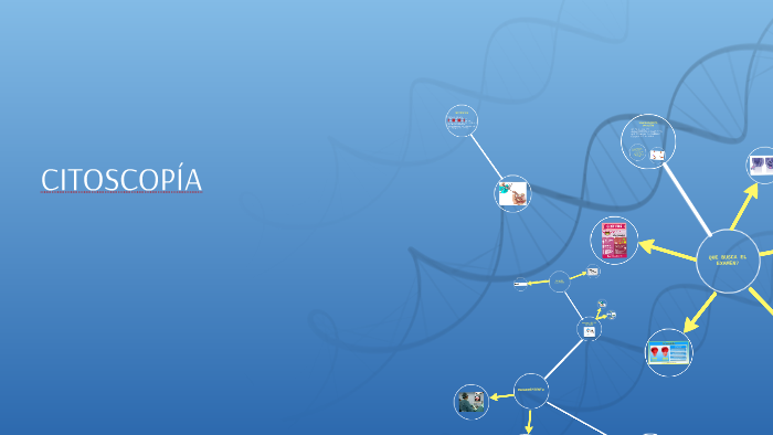 CITOSCOPIA by Jhamer Angulo on Prezi