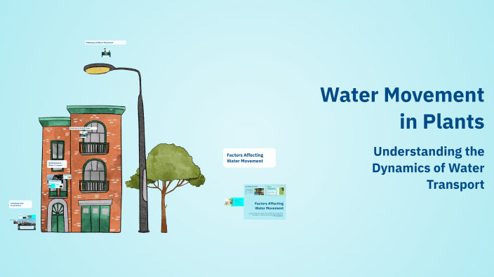 Water Movement in Plants by badriyah alwhibiah on Prezi