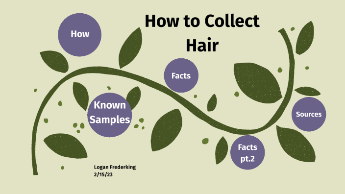 How to Collect Hair From a Crime Scene by Lily Frederking [STUDENT] on ...