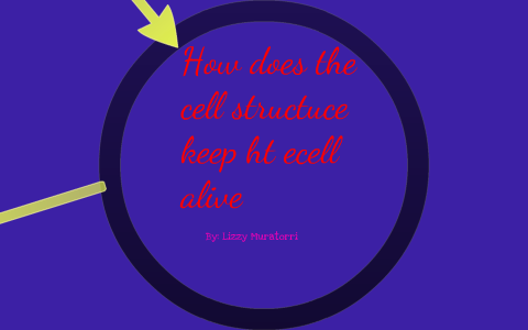 HOW DO CELL STRUCTURES HELP THE CELLS SURVIVE?? by Lizzy Muratorri