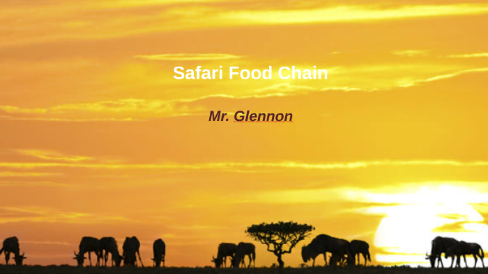 Safari Food Chain by Jacob Glennon on Prezi