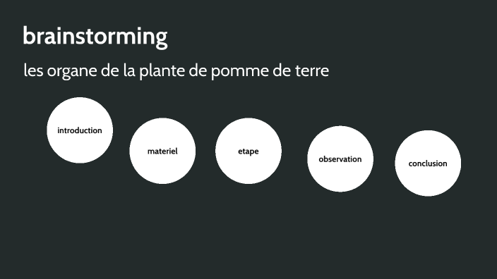 brainstorming sur Cellules les cellules de tubercule de pomme de terre ...