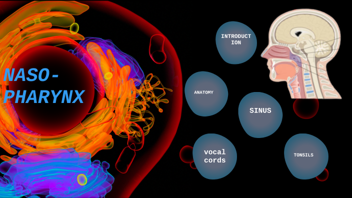 NASOPHARYNX by BISMA ZAHID MALIK on Prezi