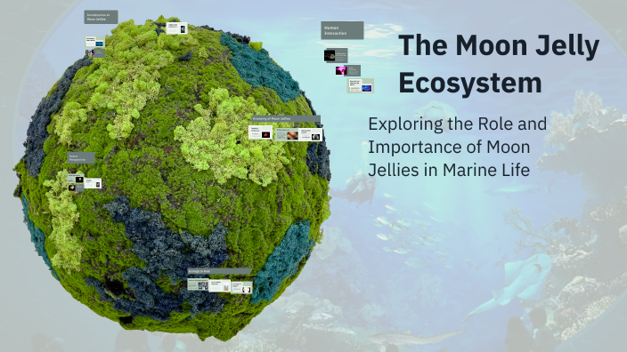 The Moon Jelly Ecosystem by John Roybal on Prezi
