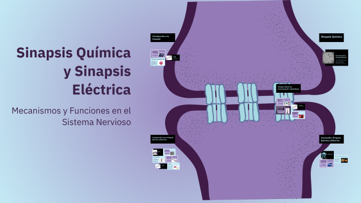 Sinapsis Química y Sinapsis Eléctrica by ANDRES OLVERA JARILLO on Prezi