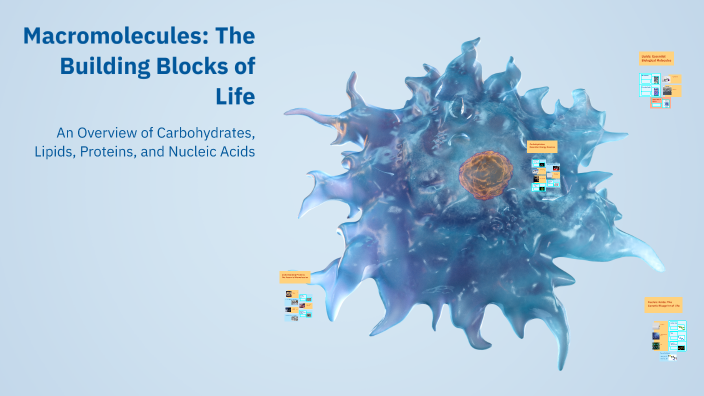 Macromolecules: The Building Blocks of Life by Abdullah Thaher on Prezi