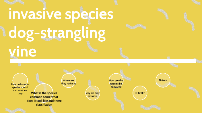 invasive species by Gabriel Lavalle Tantalo on Prezi