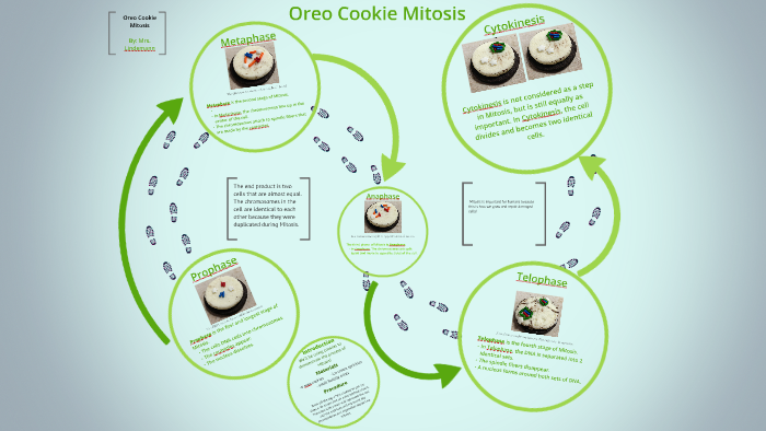 Oreo Cookie Lab by Sarah Lindemann on Prezi