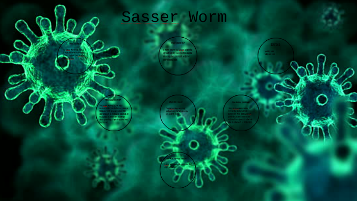 Sasser Virus by Sam B on Prezi