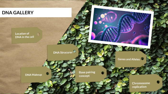 DNA digital gallery by Briana Garcia on Prezi