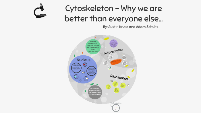 Cytoskeleton Quotes