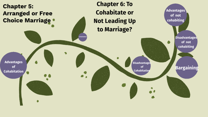 Chapters 5/6: McFarlane by Morgan McFarlane on Prezi