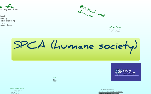 Calgary SPCA by kayla ellis on Prezi