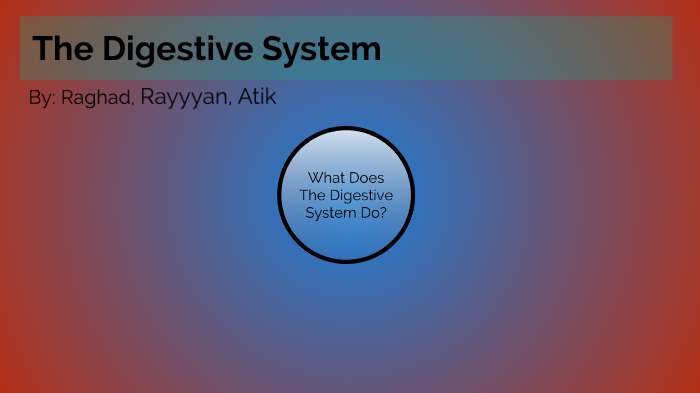 The digestive system by Raghad Barakat on Prezi