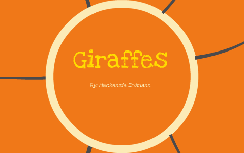 Giraffe Research Project by Mackenzie Erdmann on Prezi