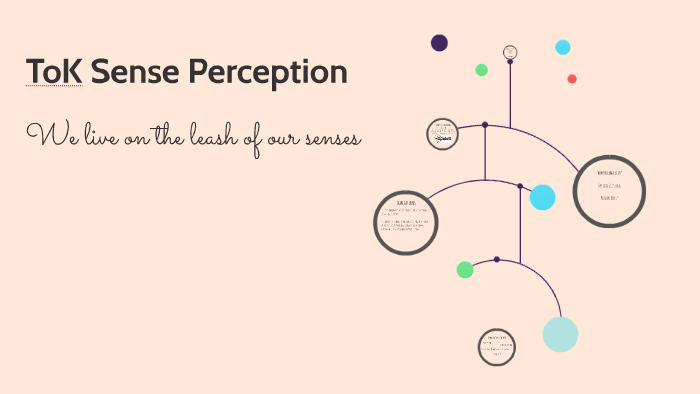 ToK Sense Perception by Amos Lau on Prezi