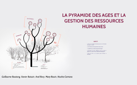 LA PYRAMIDE DES AGES ET LA GESTION DES RESSOURCES HUMAINES by M B on Prezi