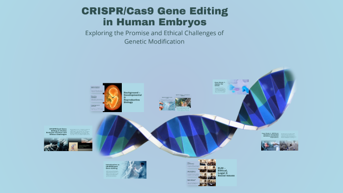 CRISPR/Cas9 Gene Editing in Human Embryos by Louiana Edward on Prezi