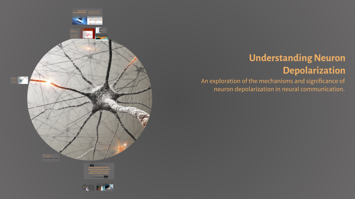 Understanding Neuron Depolarization by Hoi Kwan Lai on Prezi