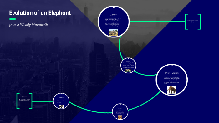 Evolution of an Elephant by Josh Szymanski on Prezi