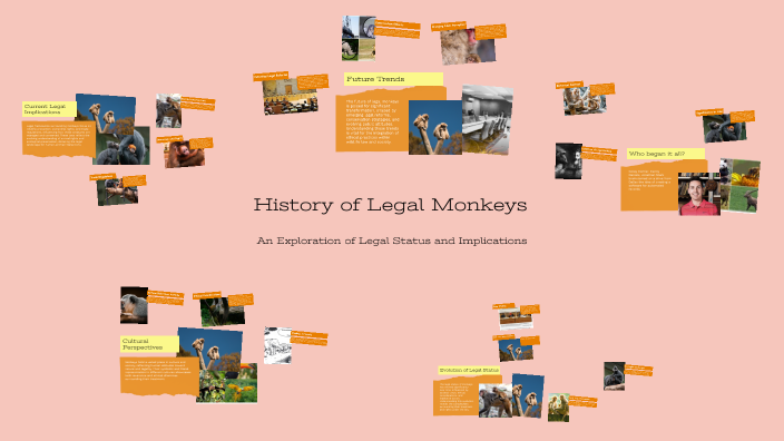 History of Legal Monkeys by Emily Jackson on Prezi