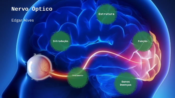 Nervo Óptico by Edgar Alves on Prezi
