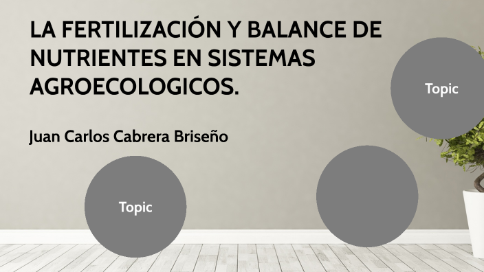 LA FERTILIZACIÓN Y BALANCE DE NUTRIENTES EN SISTEMAS AGROECOLOGICOS. by ...