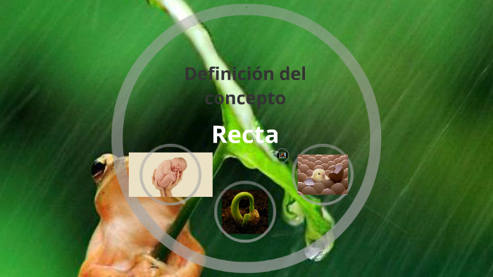 La Naturaleza by Connie Rojas on Prezi