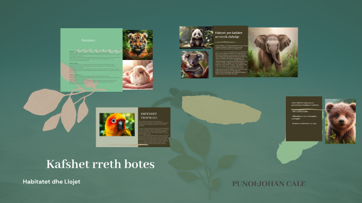 Kafshet Rreth Botes by Johan Cale on Prezi