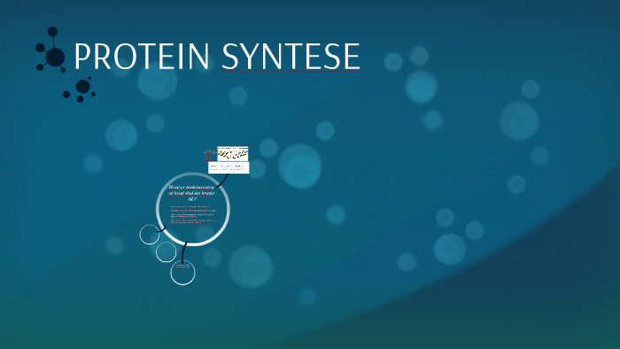 PROTEIN SYNTESE by Carla Nielsen on Prezi