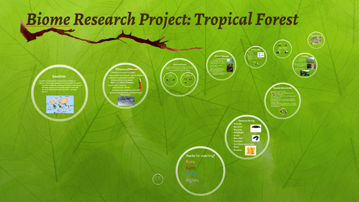 Biome Research Project: Tropical Forest by Agnes Kumi on Prezi