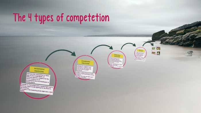 4 types of by Garrett Howell on Prezi