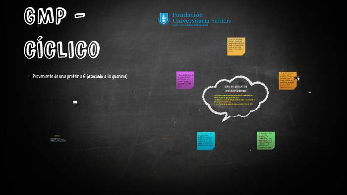 GMP - cíclico by Anny Moreno Leguizamon on Prezi