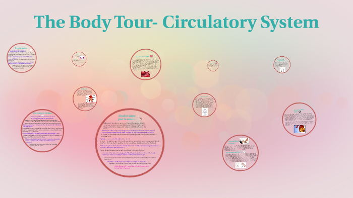 The Body Tour- Circulatory System by Callie Ramirez on Prezi