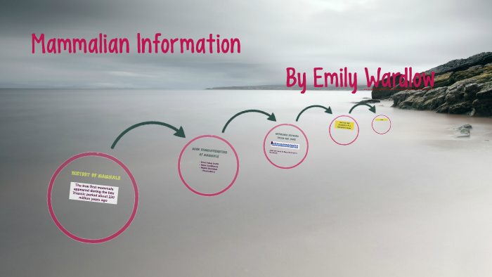 Mammalian Information by emily wardlow