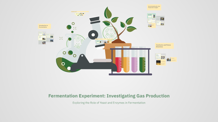 Fermentation Experiment: Investigating Gas Production by Joseph ...