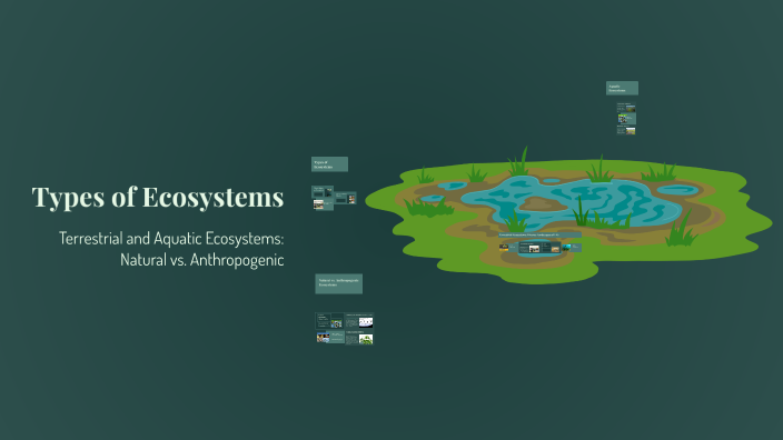 Types of Ecosystems by Corina Cirstian on Prezi