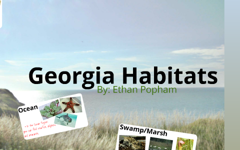Georgia Habitat Project by Ethan Popham on Prezi