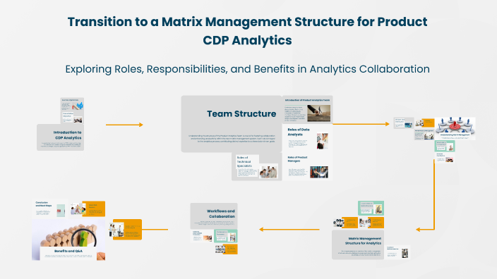 Transition to a Matrix Management Structure for Product CDP Analytics ...