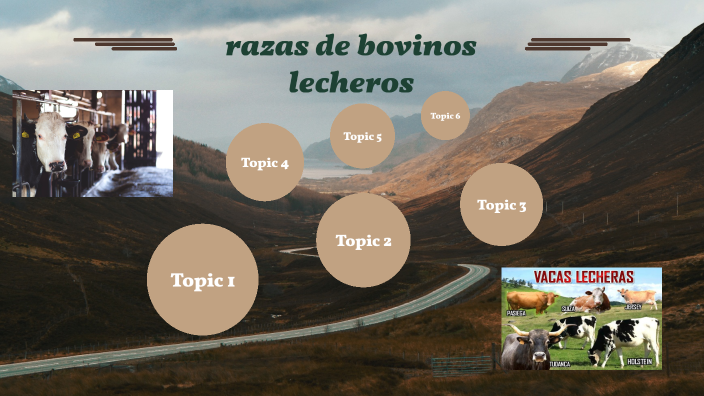 actividad 13 FJMG by francisco julian Mendoza on Prezi