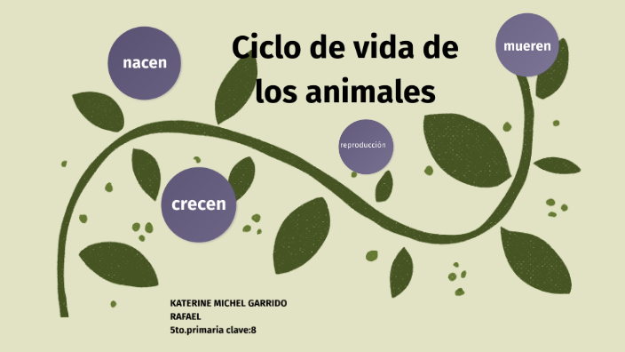 ciclo de vida de los animales by Katerine Garrido on Prezi