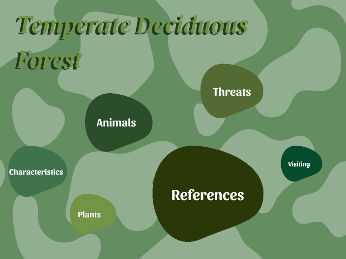 temperate deciduous forest by Ashlee Contreras Cruz on Prezi